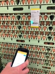 On Farm Scanning - Ovotrack