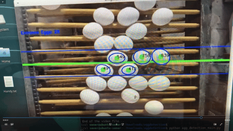 Tregg & Trace - Ovotrack