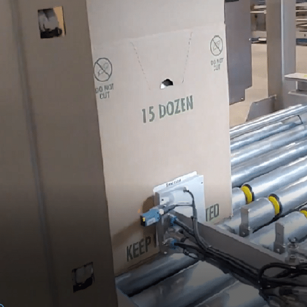 Case Study: S&R Egg Farms aims for excellence with Ovotrack as their partner - Ovotrack