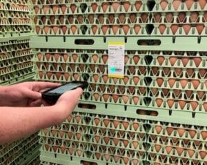 On Farm Scanning (part 2) – Chippindale Foods - Ovotrack