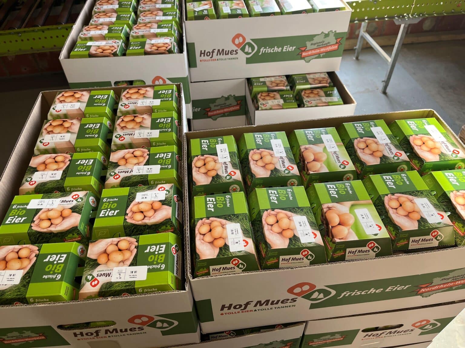 Origin Check - Ovotrack