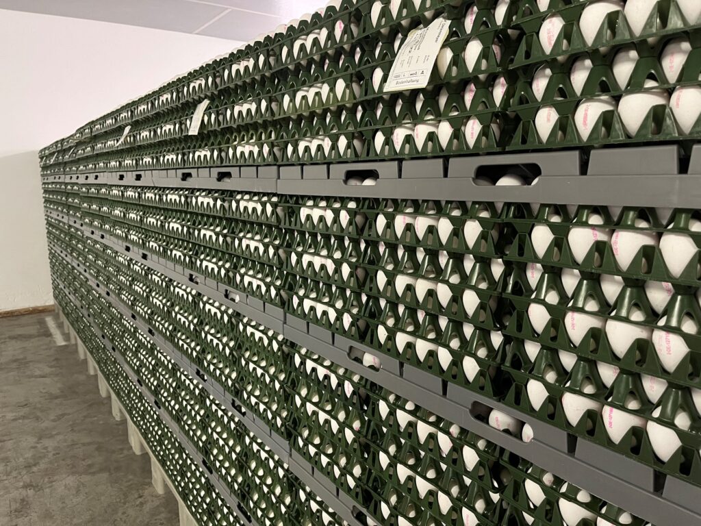 Label Data Updater - Ovotrack