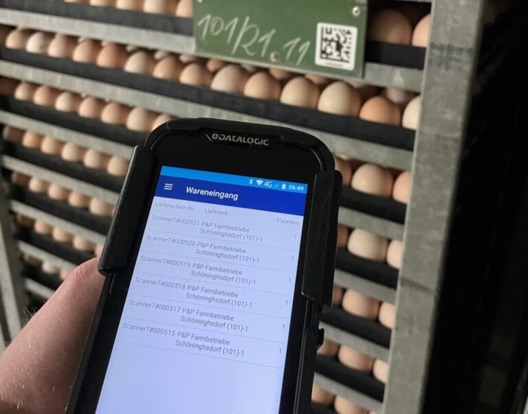 On Farm Scanning (part 1) – Emsland Brüterei – Ovotrack